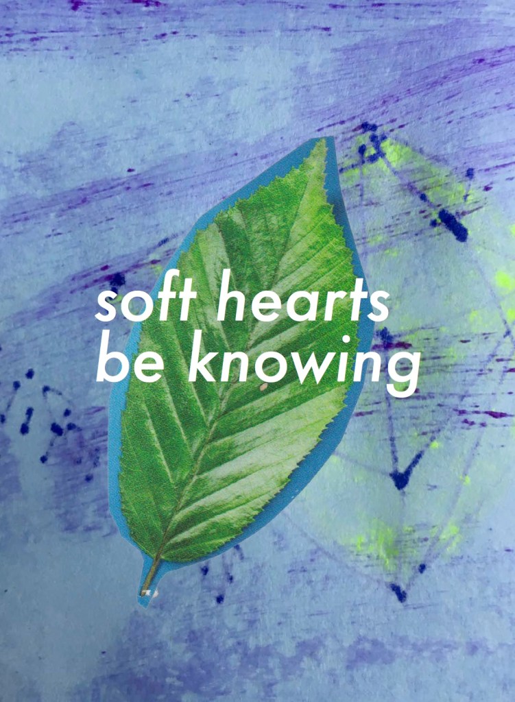 5 radical zines by latina/x women