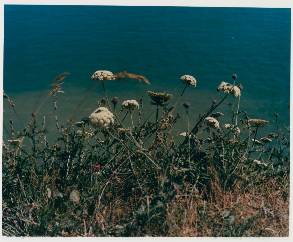 clive martin: what does britishness mean in 2019?