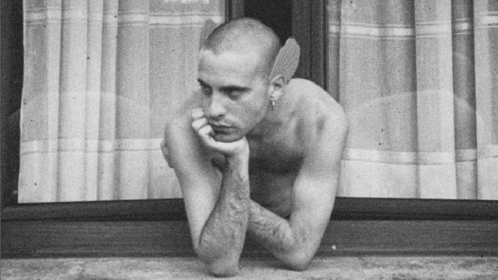 this cyborg artist can sense the weather using ear implants