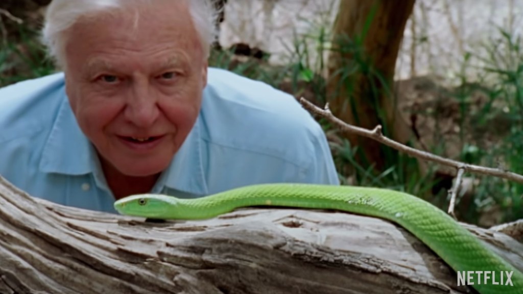 Watch a trailer for David Attenborough’s new climate crisis Netflix doc