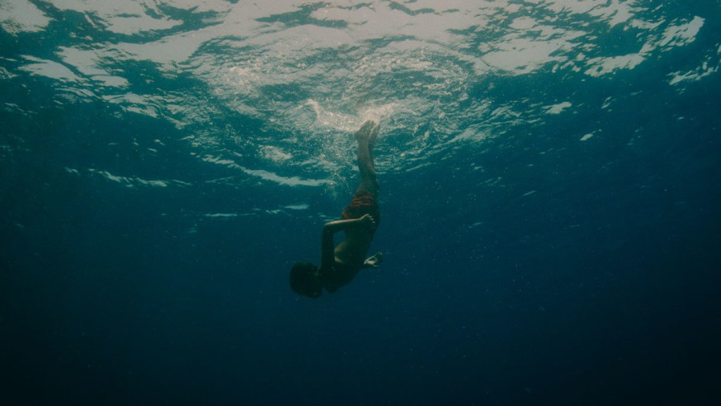 a closer look at beautifully perverse new body horror, evolution