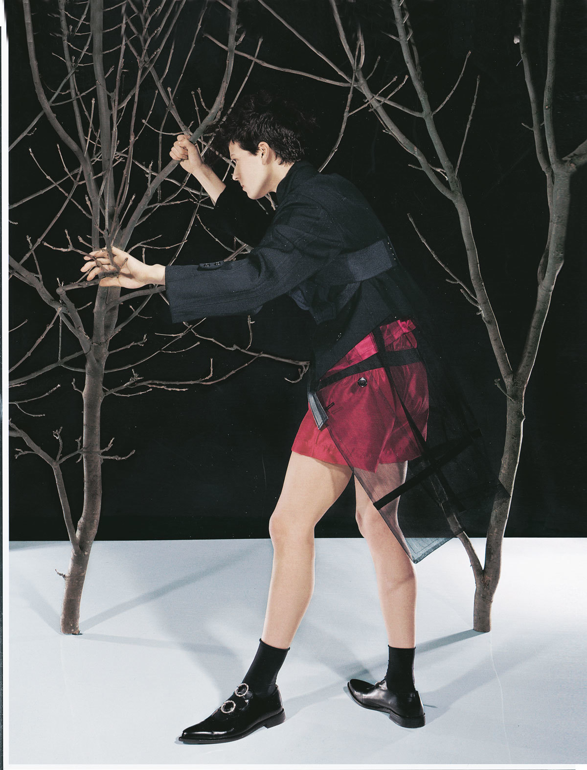 a tribute to bimba bosé