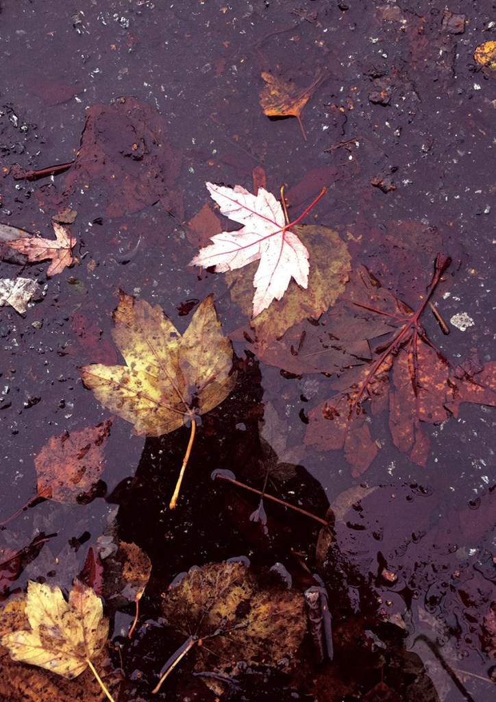 wilson oryema is using art to get us talking about saving the planet