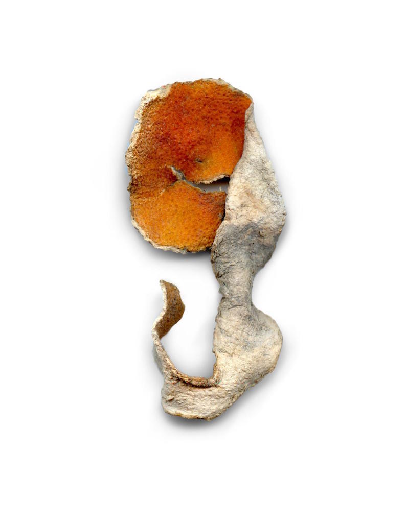 saskia de brauw’s beautiful world