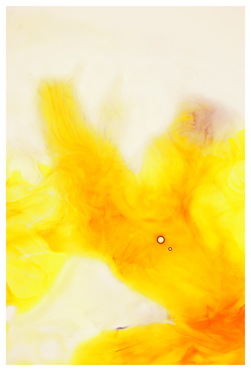 fashion photographer todd cole is ditching people for pure light and colour