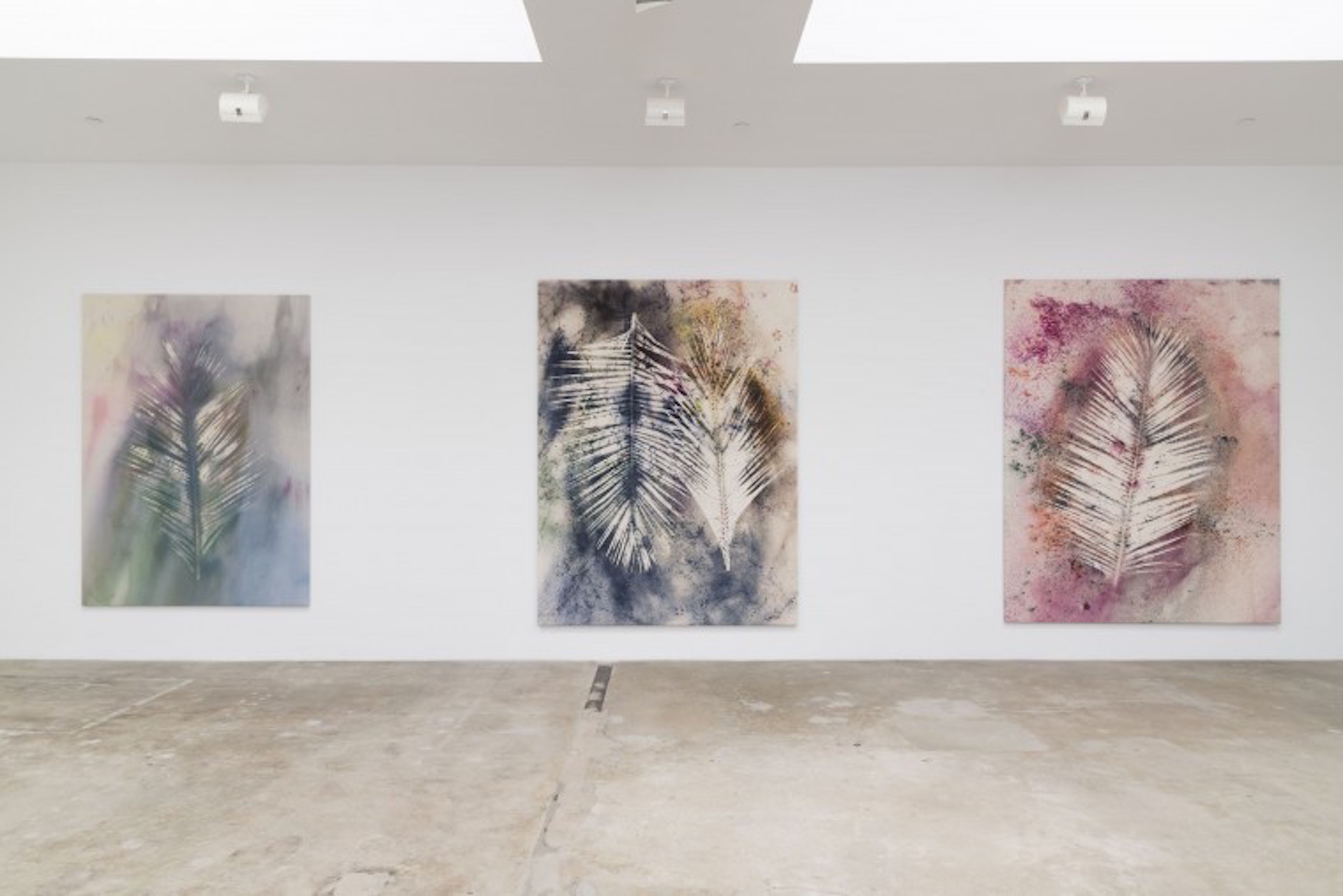 ultimate american artist sam falls on the wonder of nature