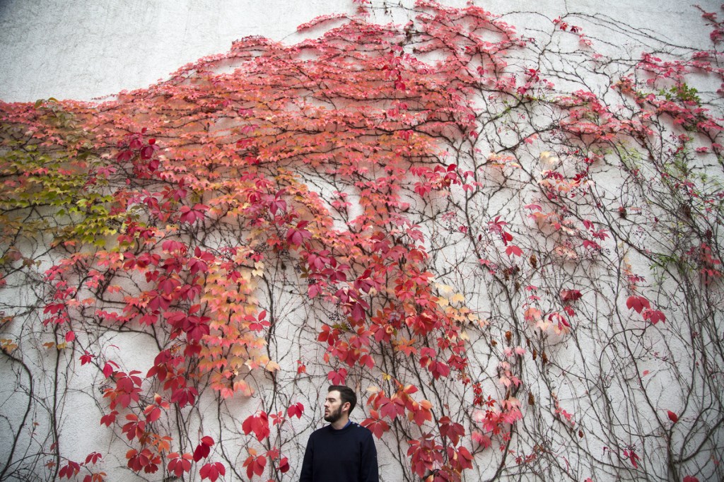 what’s up doc? daneeka