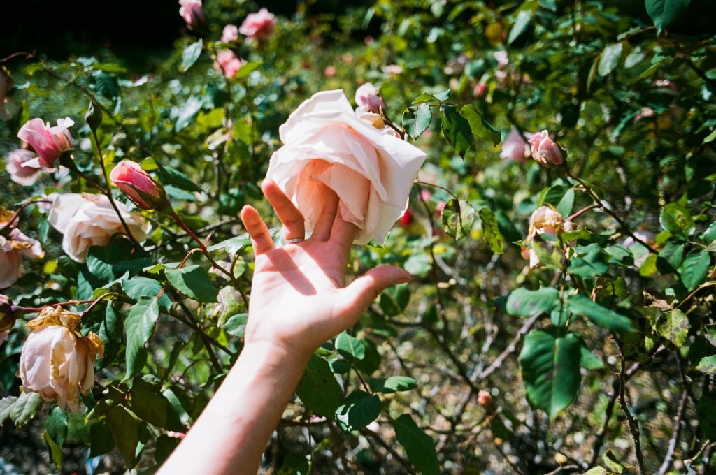 check out petra collins, avrida bystrom, and molly soda’s work in art ...