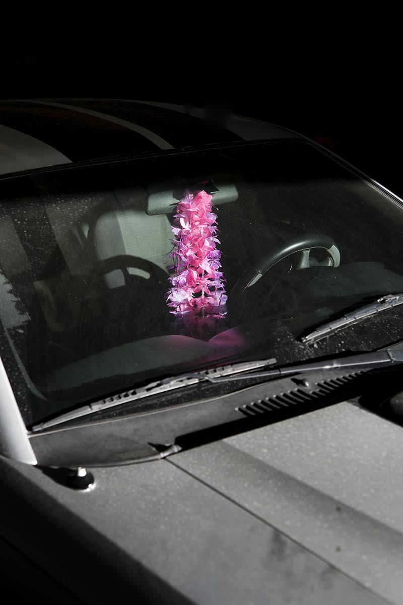 what does the word ‘gender’ look like? look it up in this photographic ...