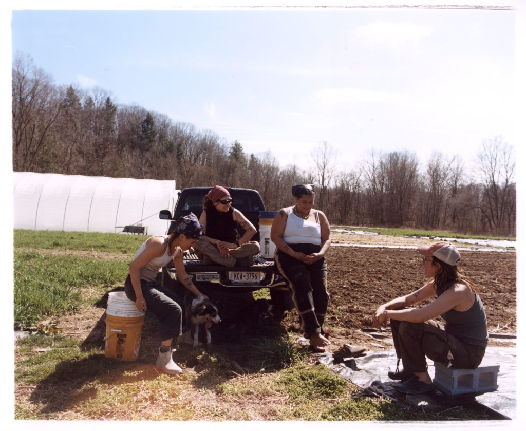 Gentle Time Farm and Choy Division Are the Future of Farming
